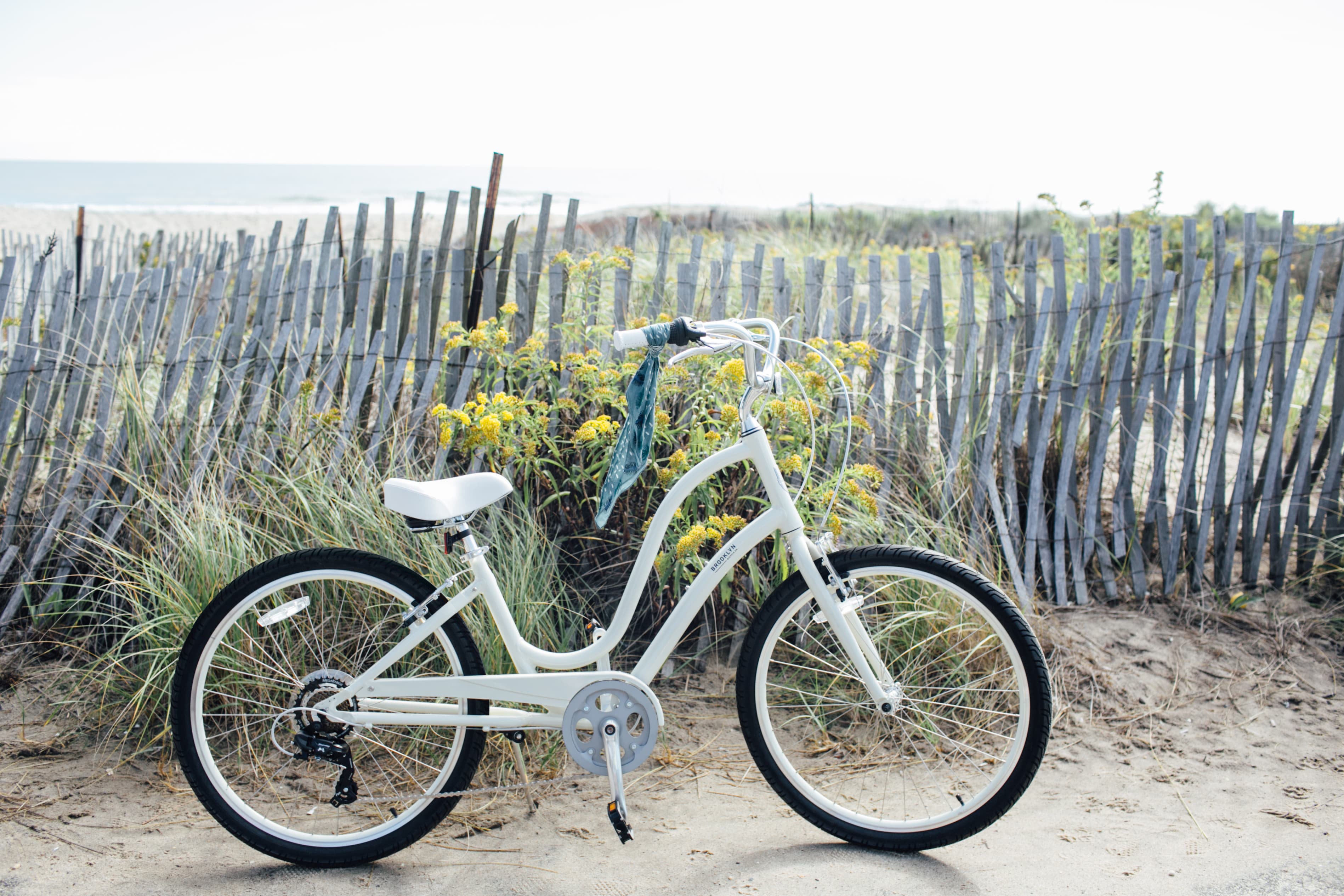 Best Cruiser Bikes: Top Five Things When Buying a Cruiser Bike ...