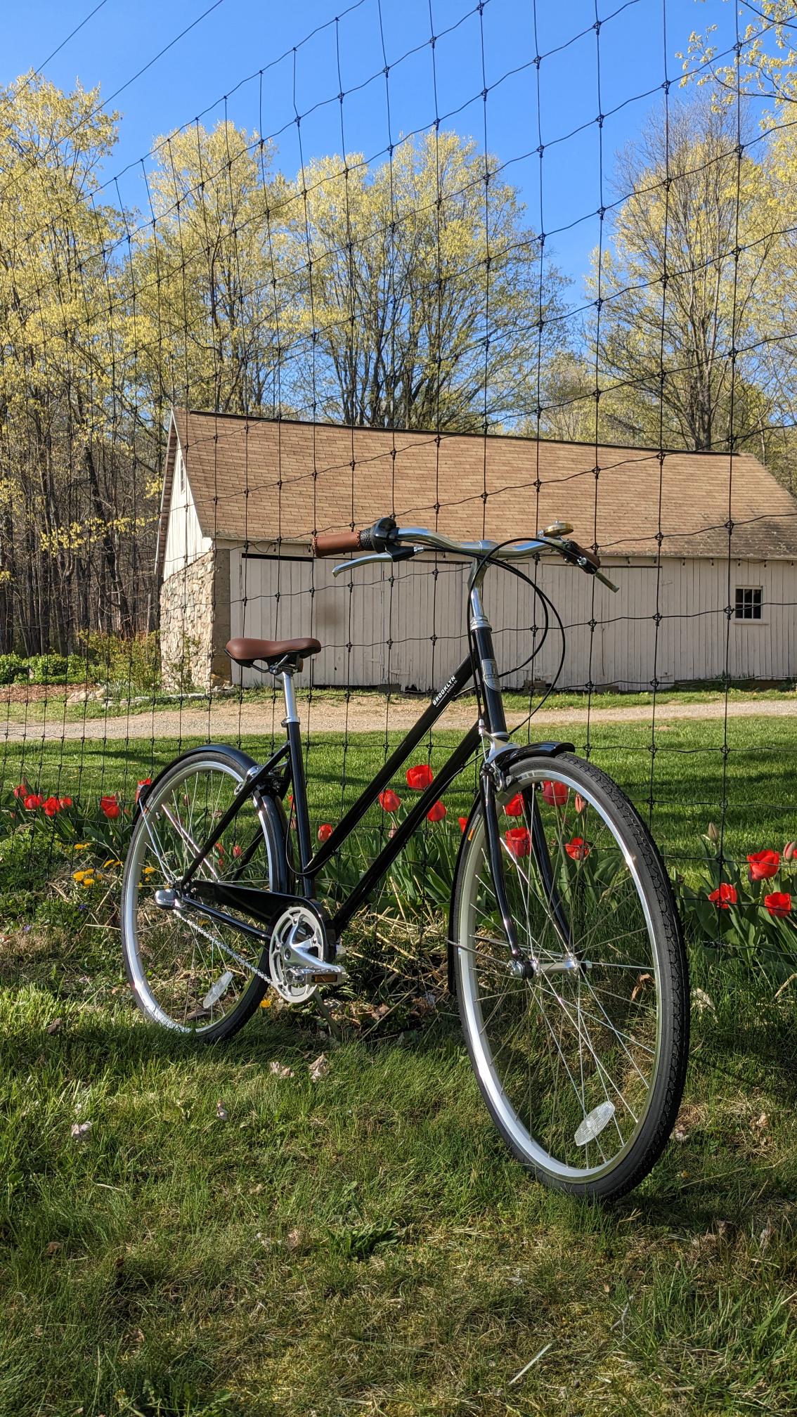 Step-Through Bikes | Stylish Step-Through Bicycles – Brooklyn Bicycle Co.