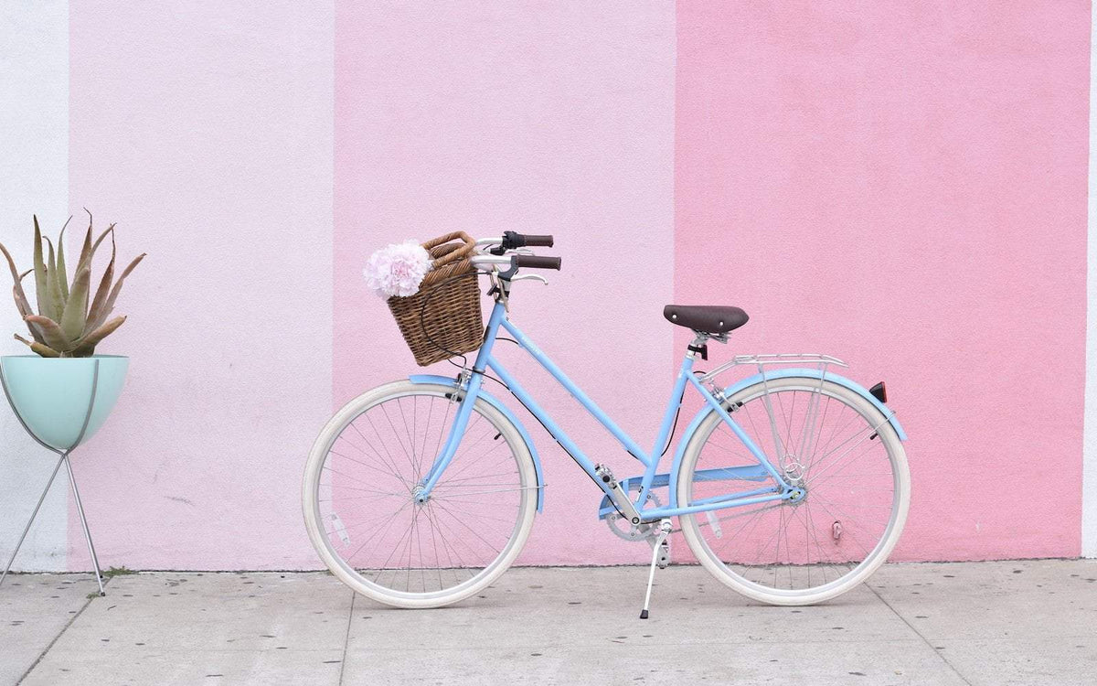 Dutch Bikes | Classic Comfort for City Riding | Brooklyn Bicycle Co.