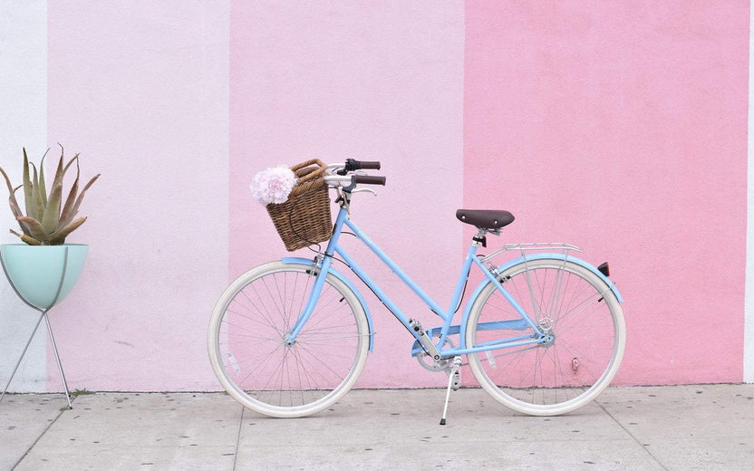 Dutch Bikes by Brooklyn Bicycle Co.